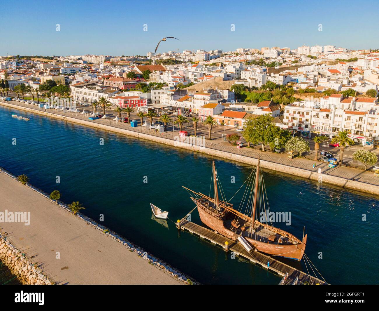 Birds of portugal hi-res stock photography and images - Alamy