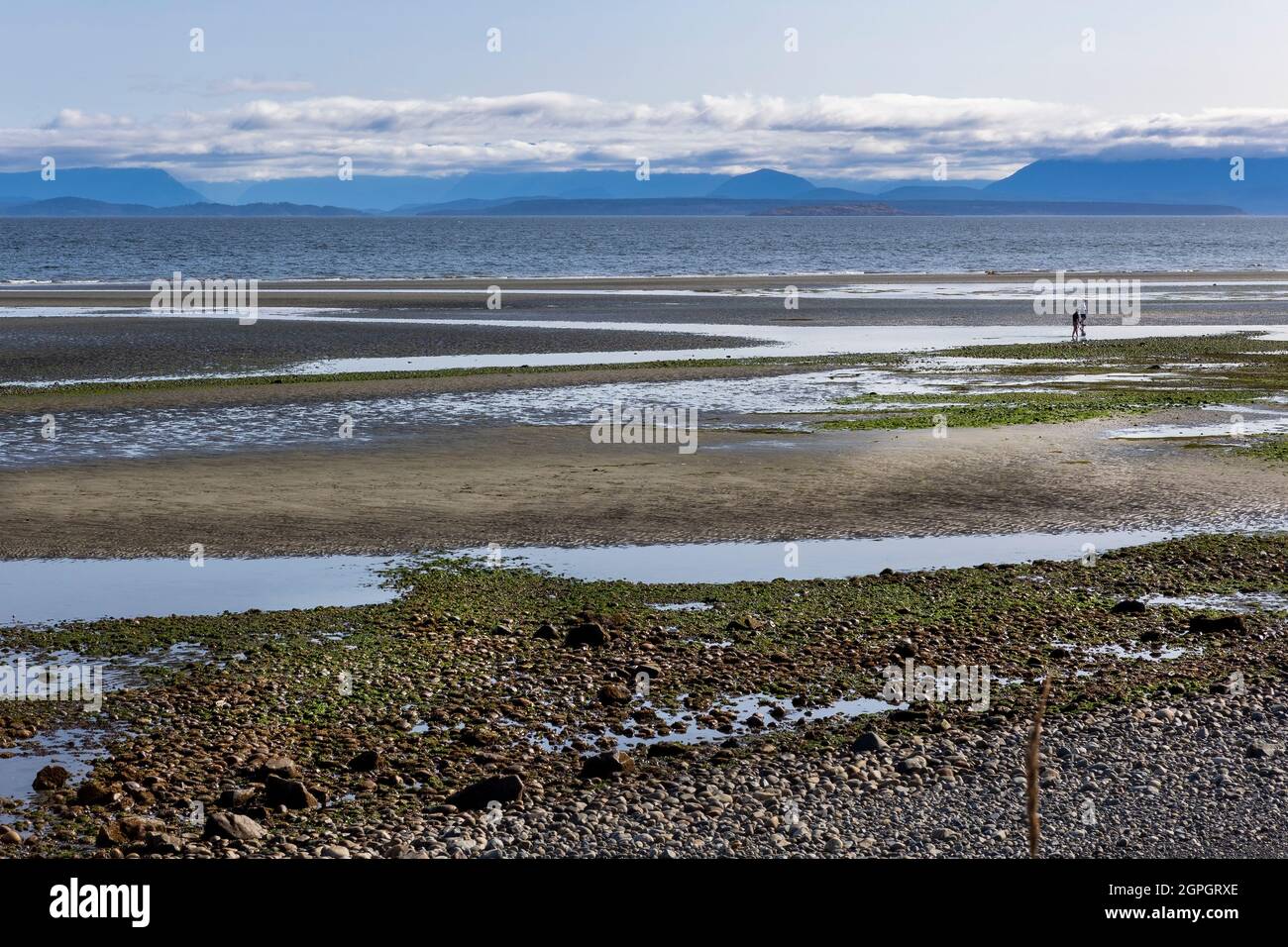 Vancouver island landscapes hi-res stock photography and images - Alamy