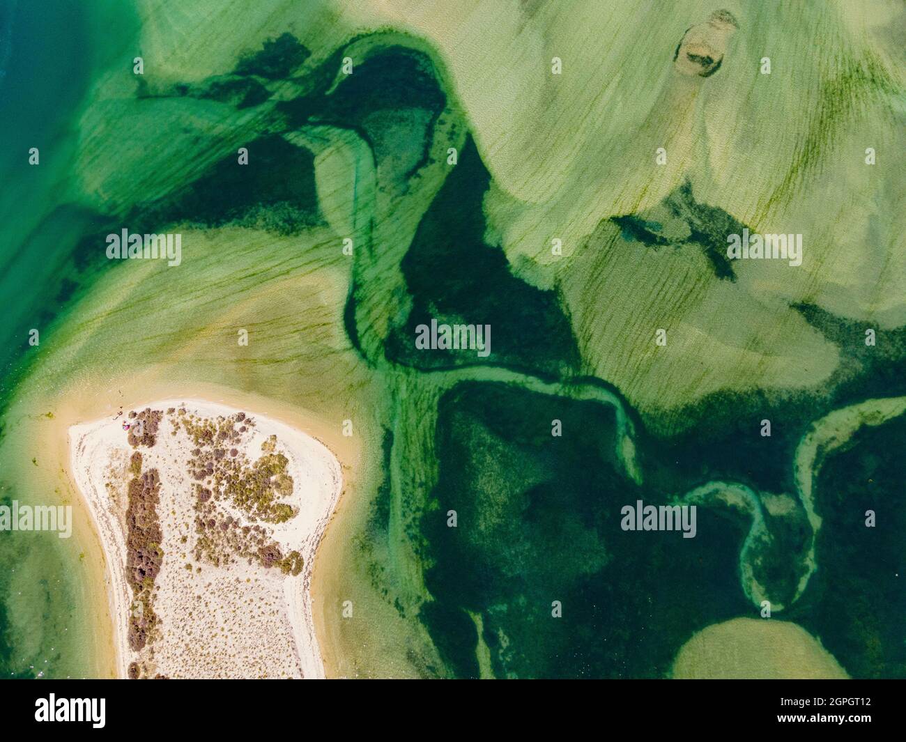 Portugal, Algarve, Fuseta, Ria Formosa natural Park, Praia da Fuseta ...