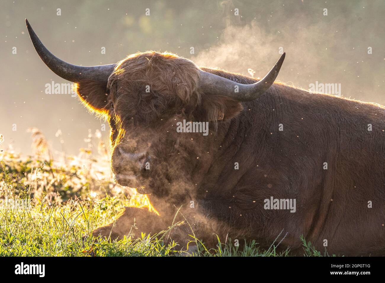 Breath of the countryside hi-res stock photography and images - Alamy