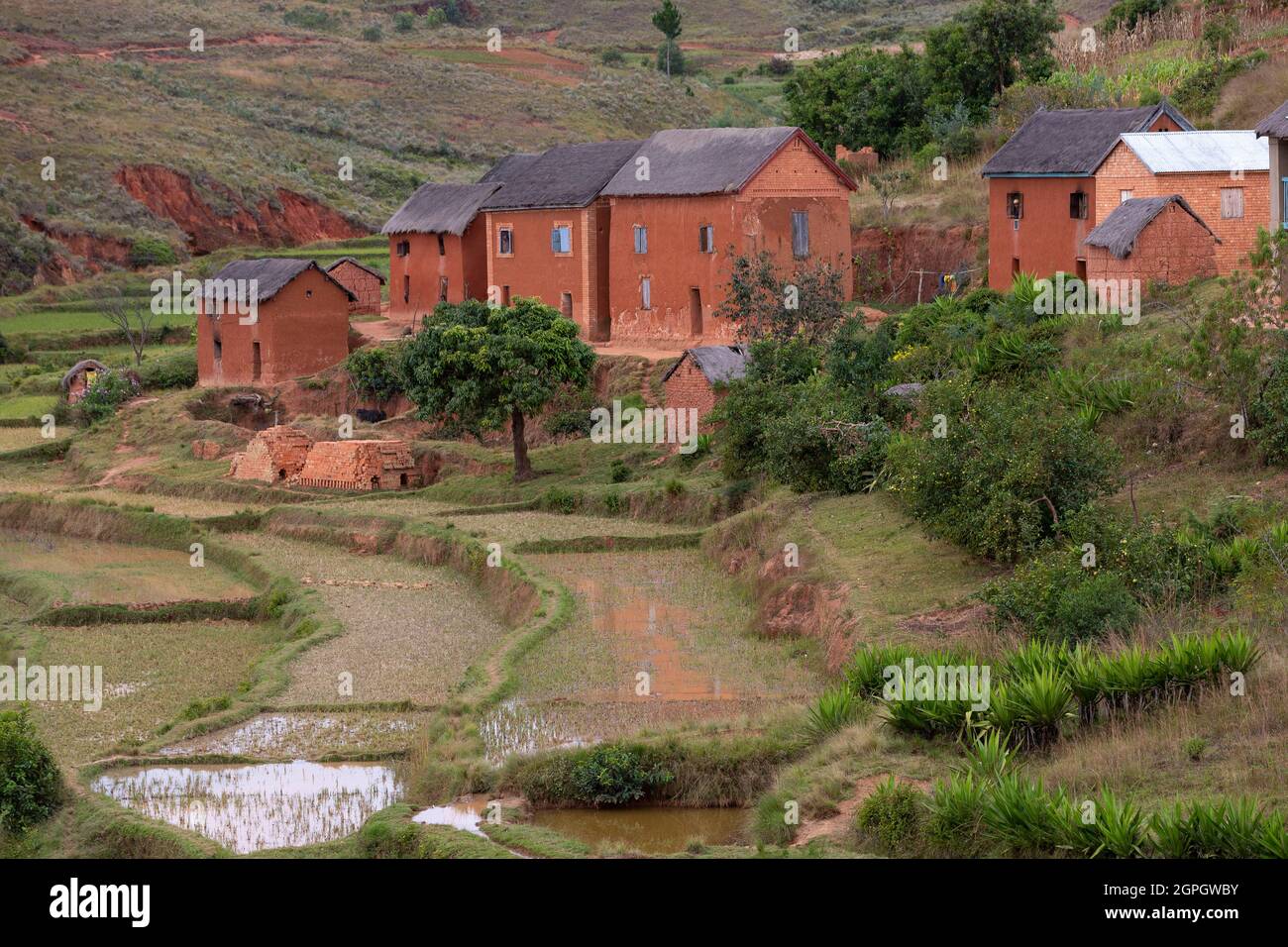 Antanifotsy village hi-res stock photography and images - Alamy