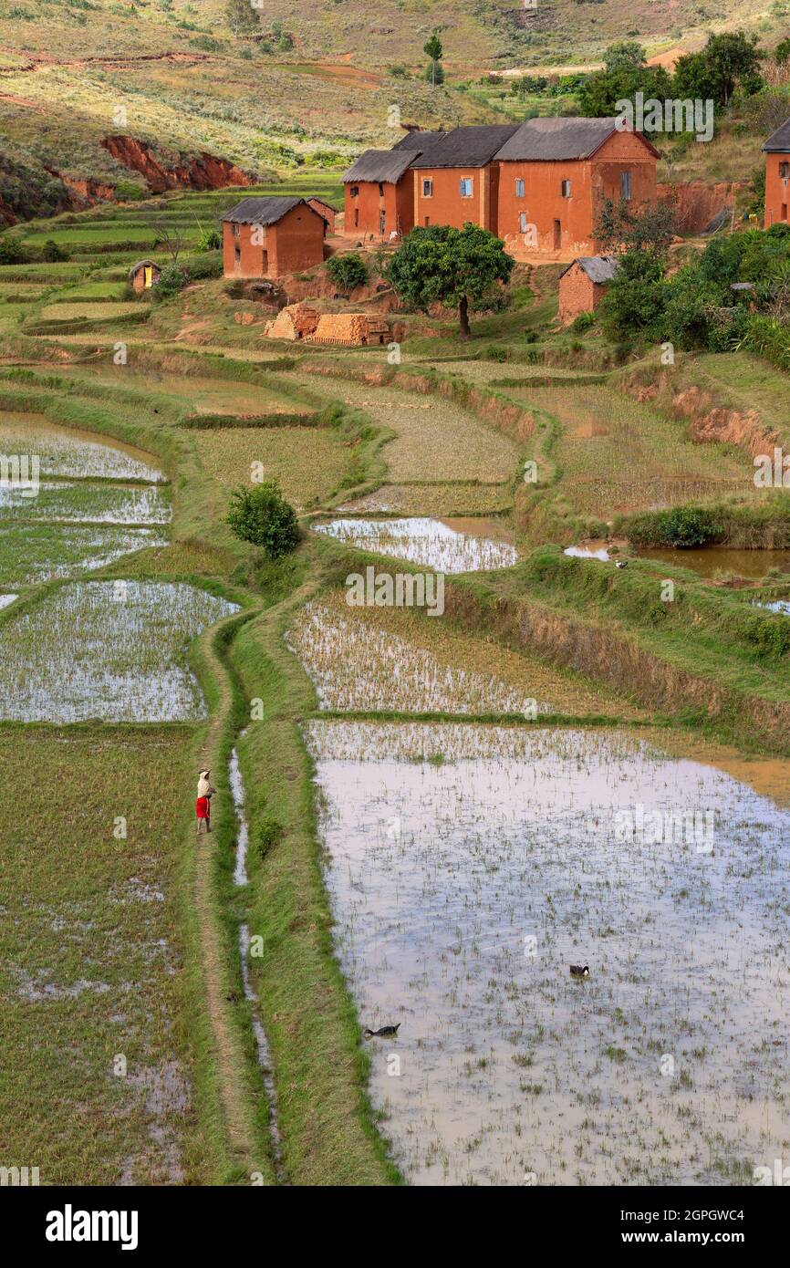 Culture of madagascar hi-res stock photography and images - Alamy