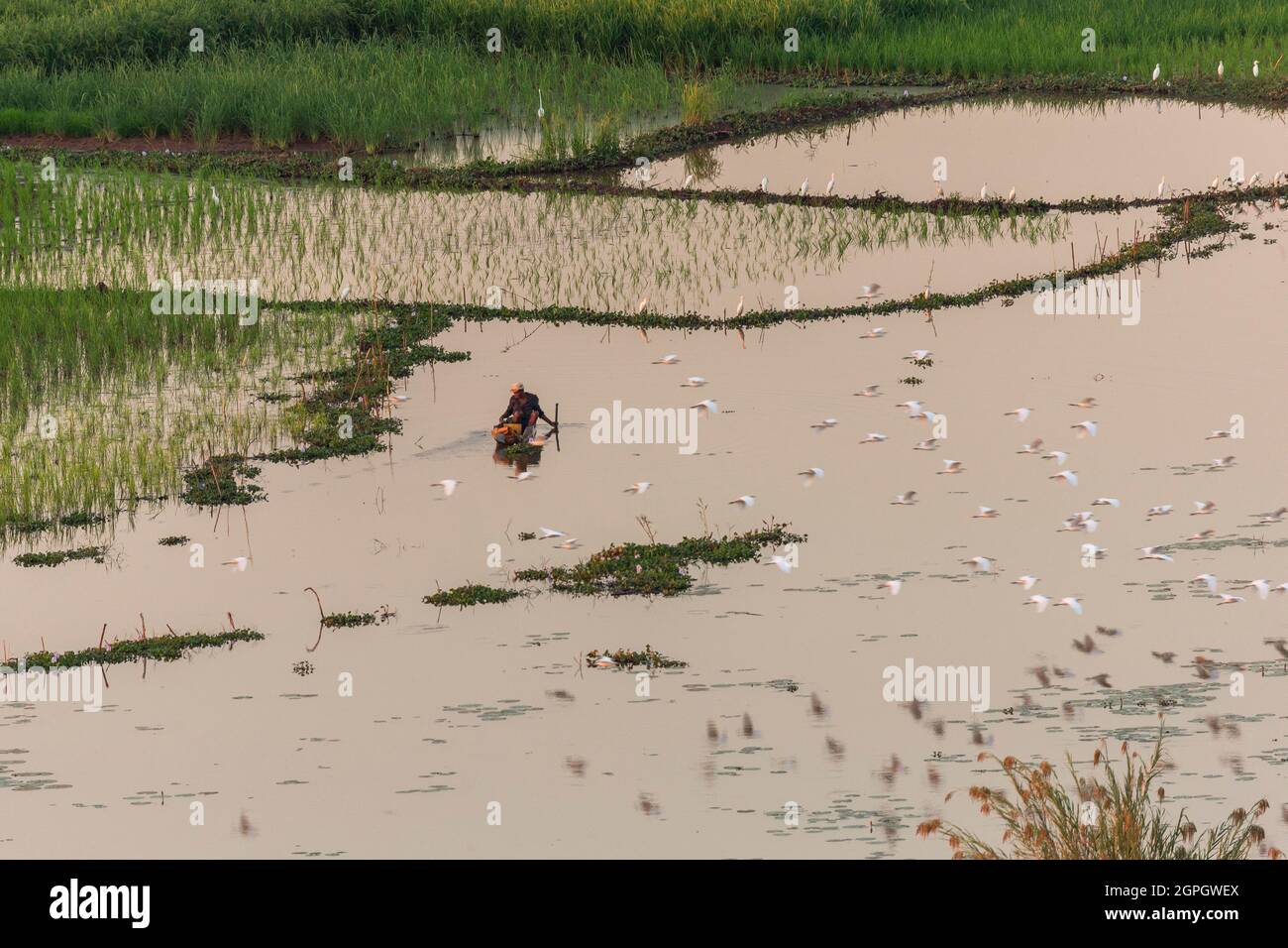Madagascar, Ménabé region, Miandrivazo, the Tsiribihina river towards ...