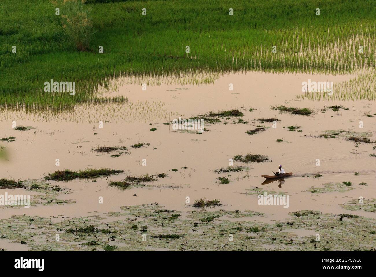 Madagascar, Ménabé region, Miandrivazo, the Tsiribihina river towards ...