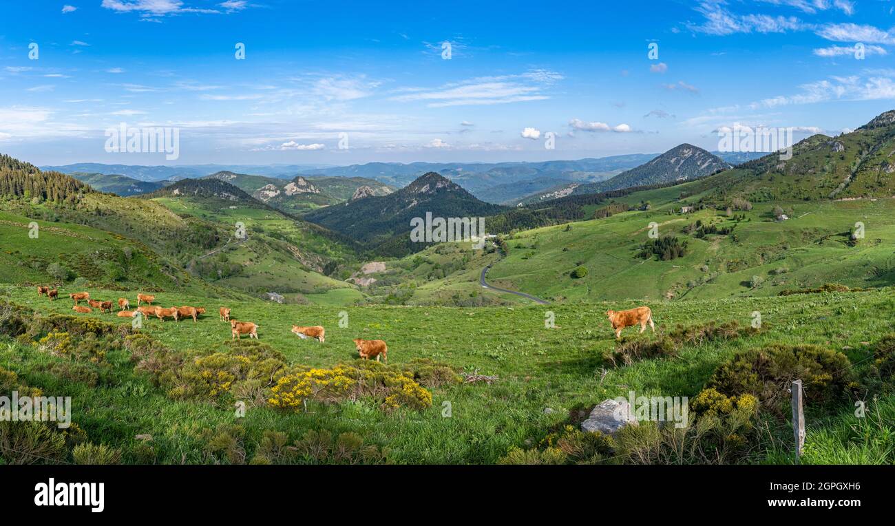 France, Ardeche, Parc Naturel Regional des Monts d'Ardeche (Regional ...