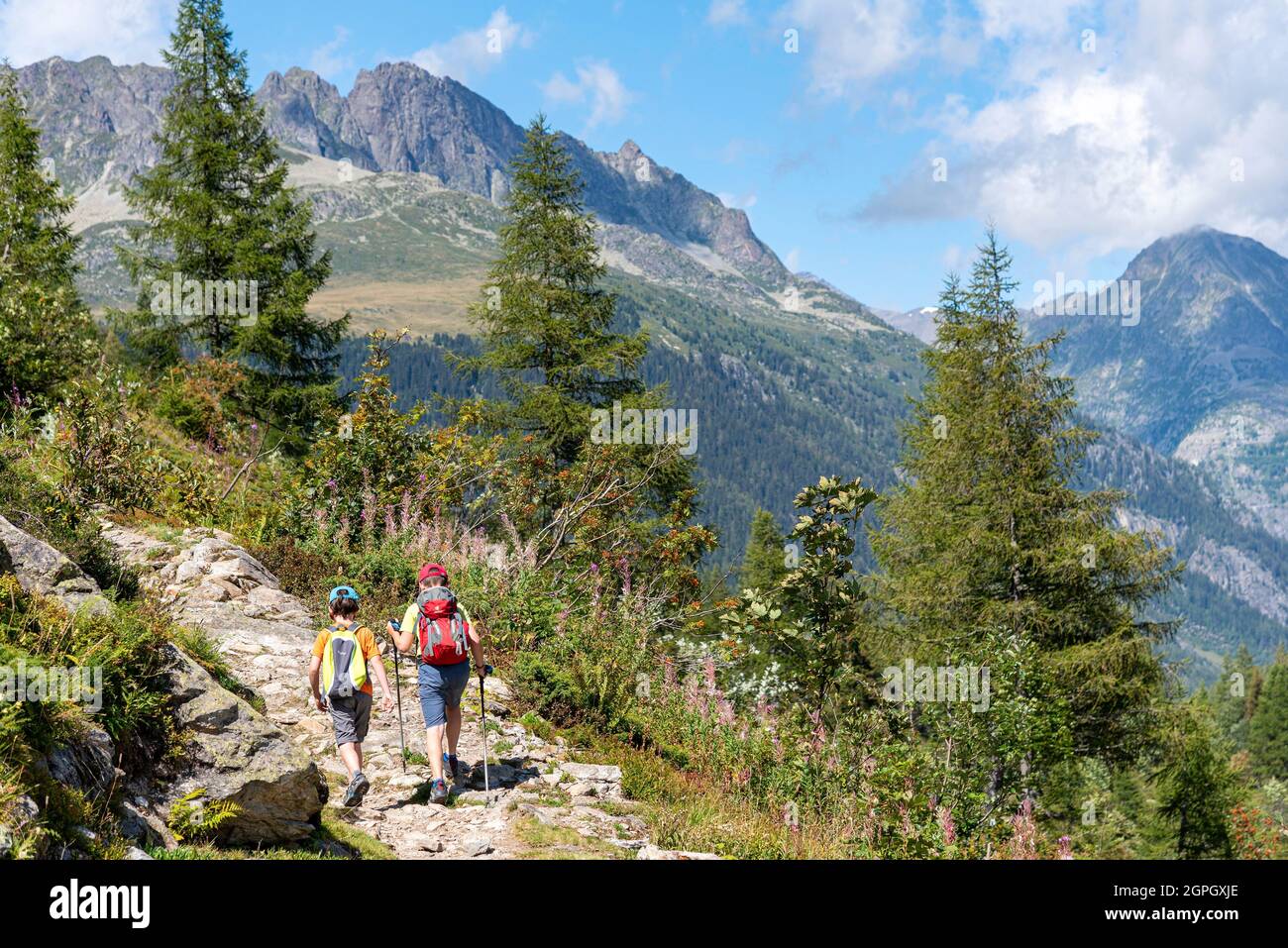 France, Haute-Savoie (74), Chamonix-Mont-Blanc, Massif des Aiguilles ...