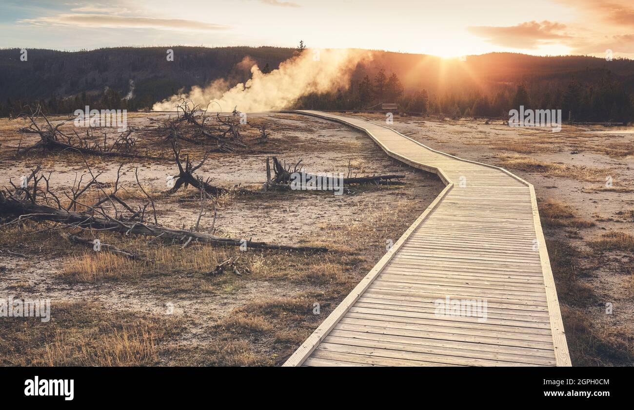 Wooden bridge trail in Yellowstone National Park at sunset, Wyoming ...