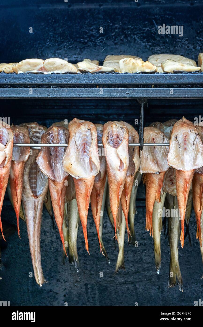 Fresh fish just before smoking in a smoker Stock Photo - Alamy