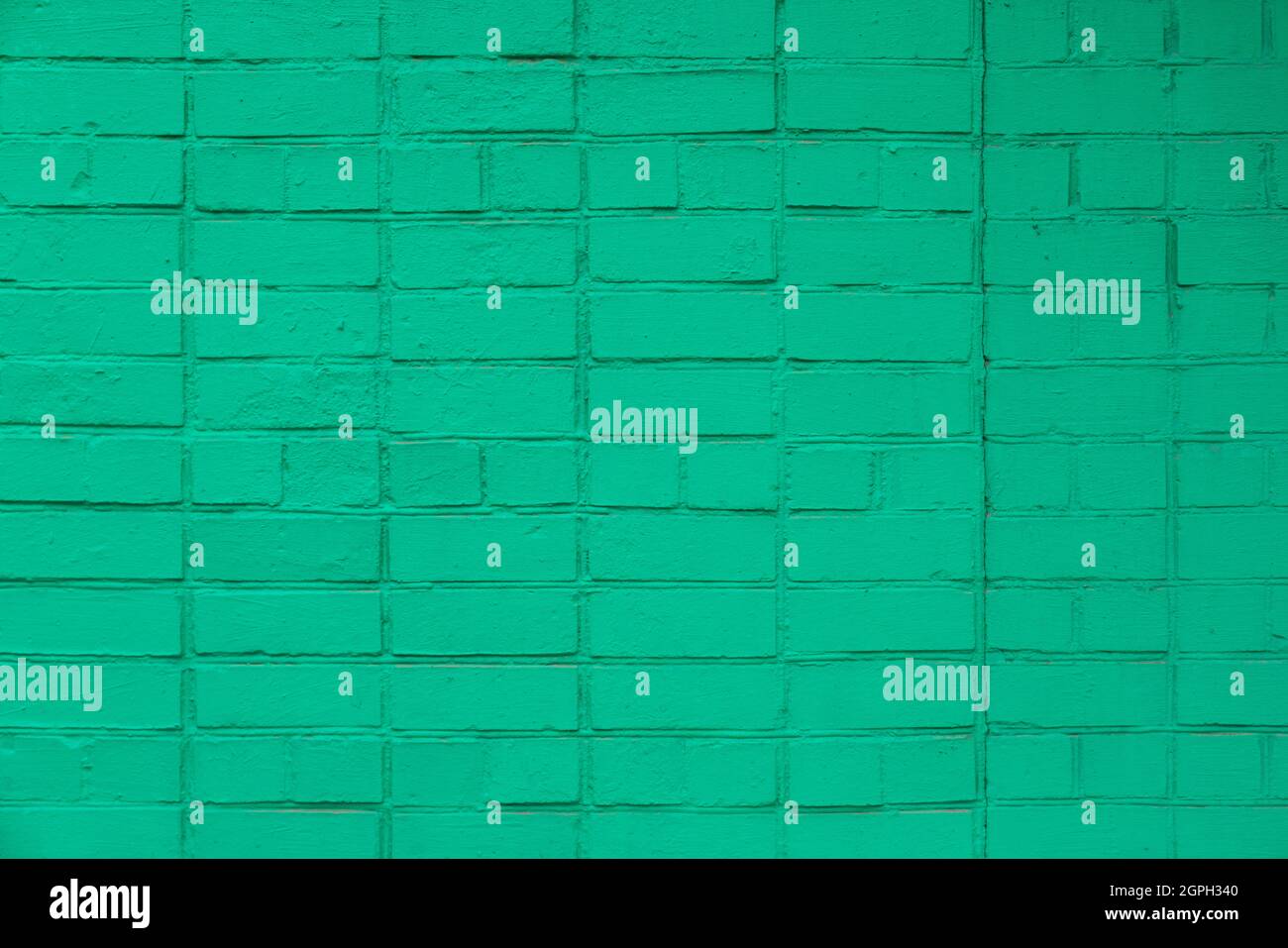 matte green painted brick wall full frame flat background and texture ...
