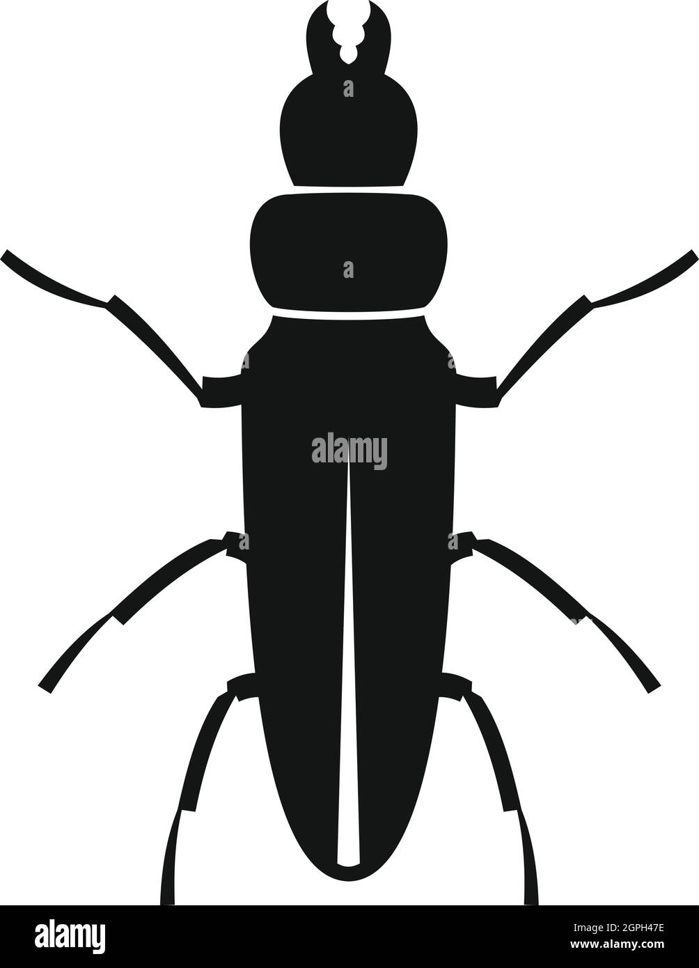 Animal black bug insect beetle Cut Out Stock Images & Pictures - Alamy