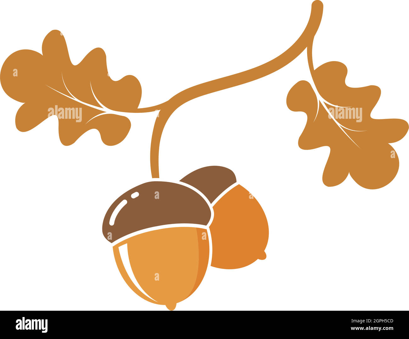 Oak Acorn Vector Illustration Design Stock Vector Image And Art Alamy