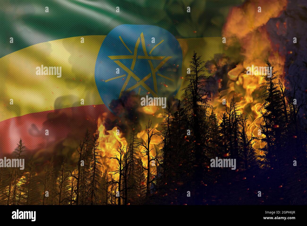 Forest fire natural disaster concept - flaming fire in the woods on ...