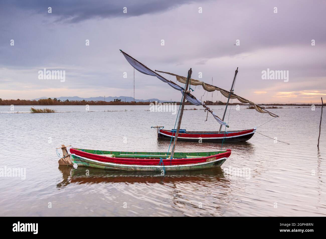Albufera of Valencia Natural Park. Valencia.Spain Stock Photo - Alamy