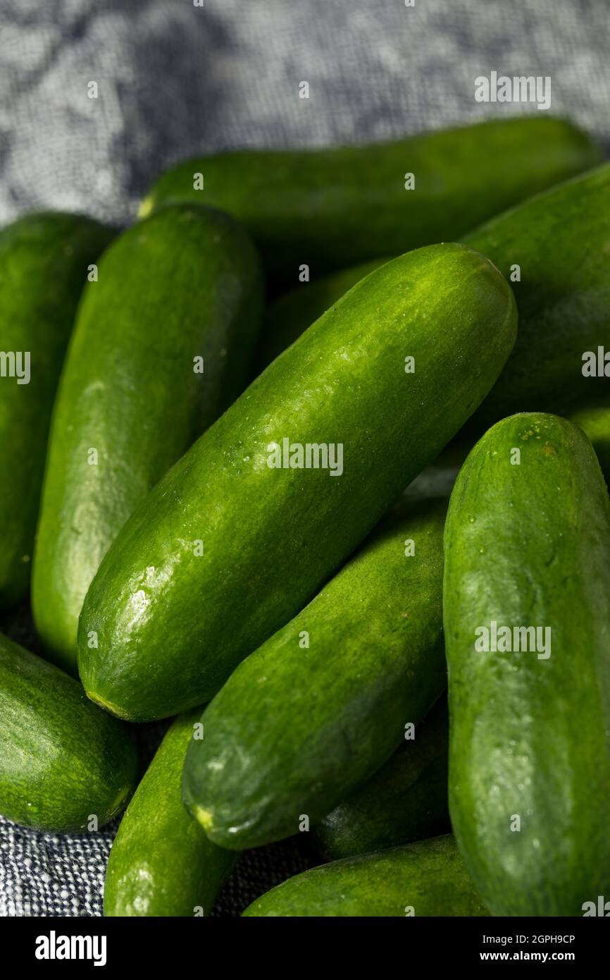 Raw Green Organic Mini Cucumbers Ready to Eat Stock Photo - Alamy