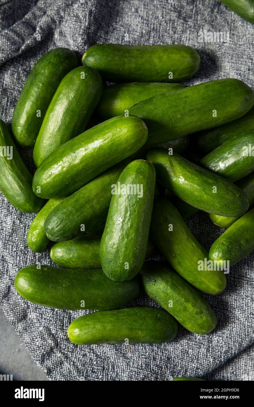 Raw Green Organic Mini Cucumbers Ready to Eat Stock Photo - Alamy