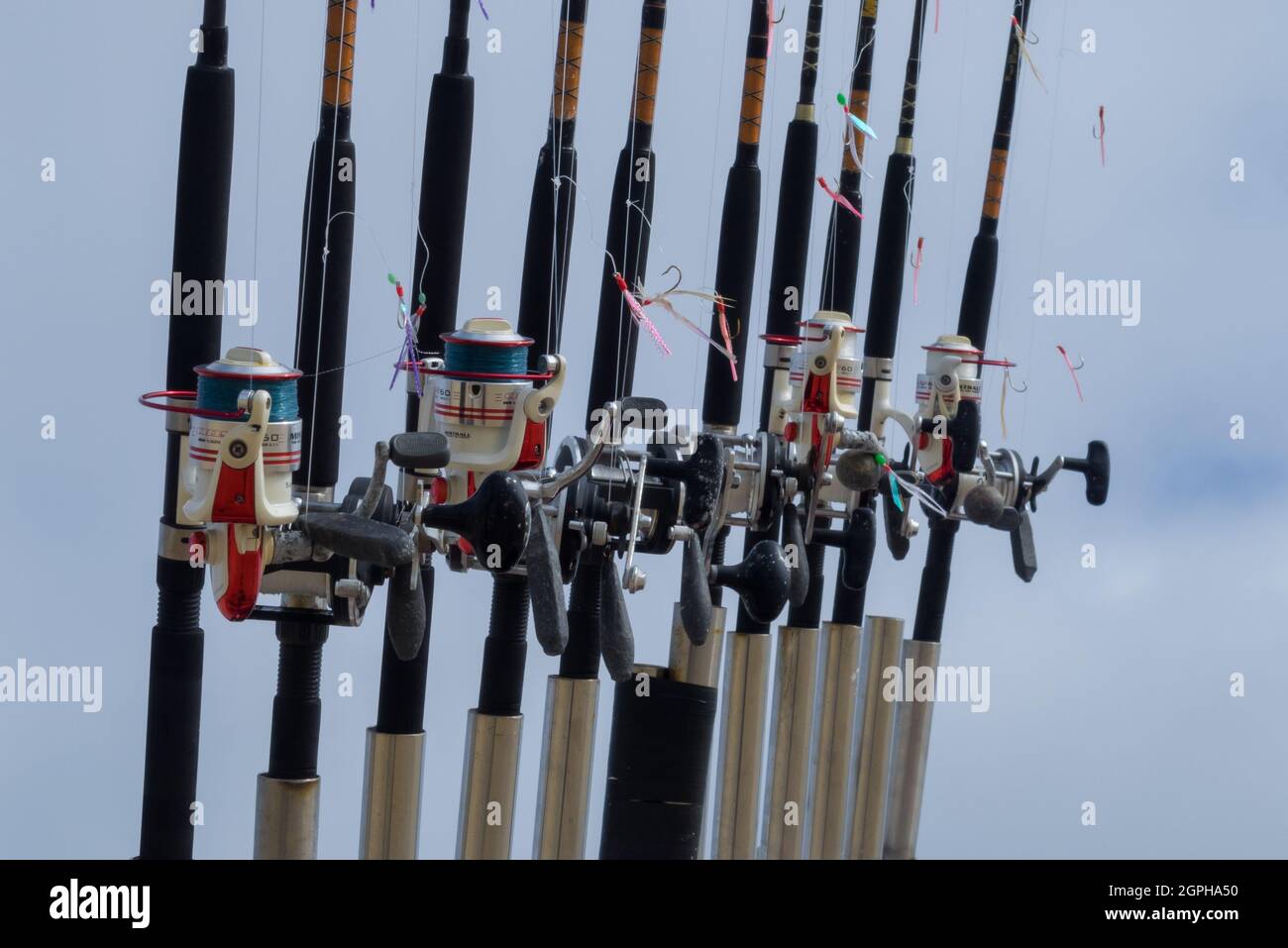A Line Of Ten Hand Fishing Rods On A Cornish Boat In St. Ives Harbour ...