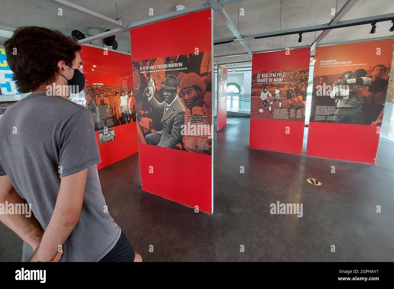 Museu pele hi-res stock photography and images - Alamy