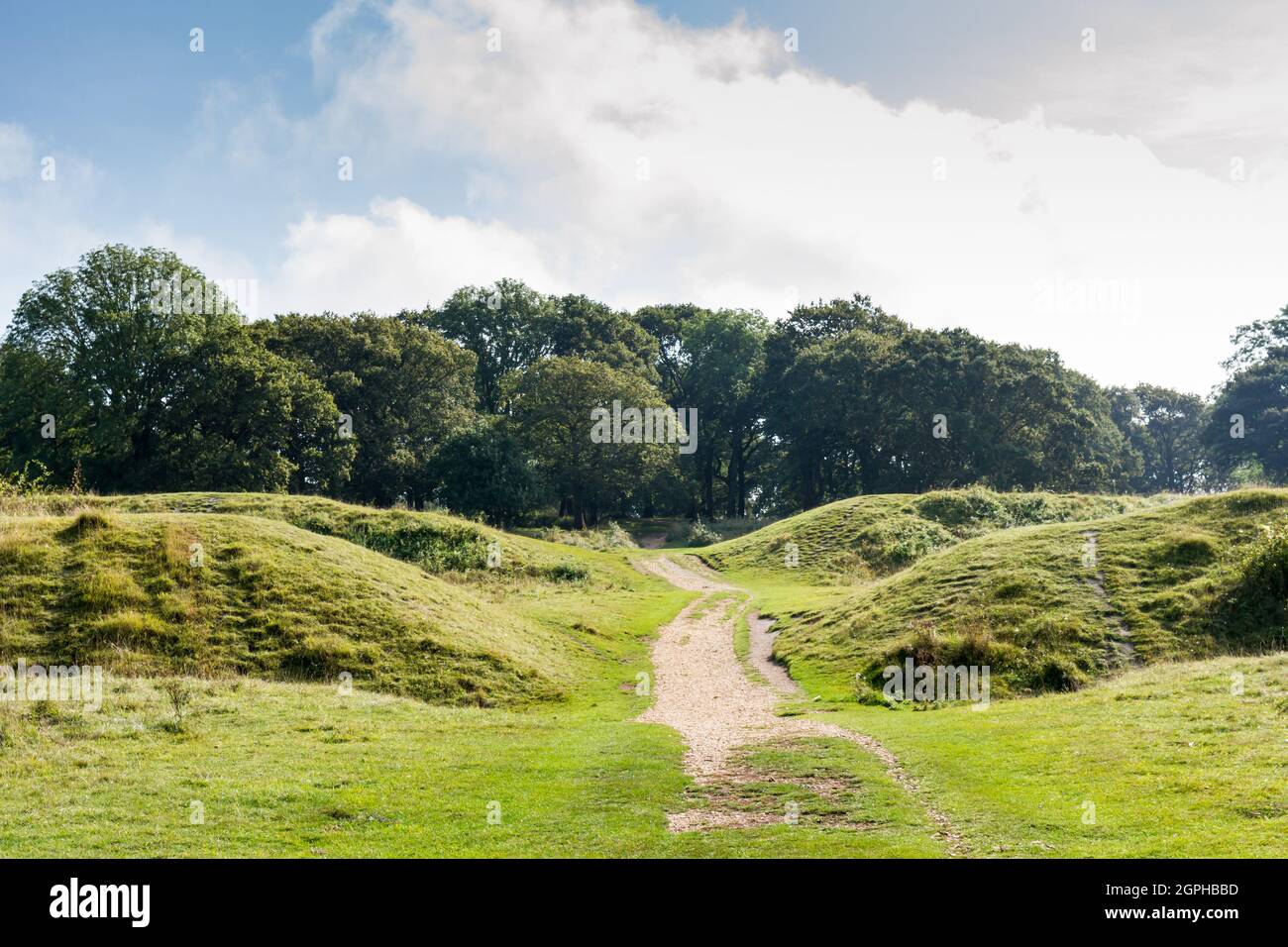 Badbury Rings Iron Age Hill Fort in Dorset, England, UK Stock Photo - Alamy