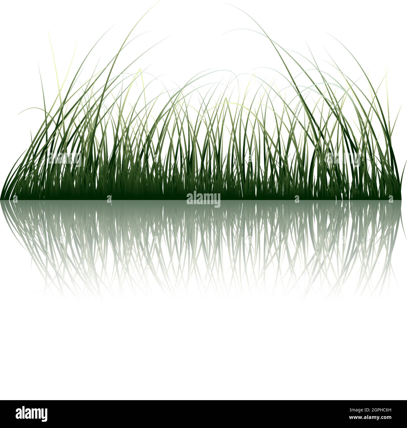 grass on water Stock Vector Image & Art - Alamy