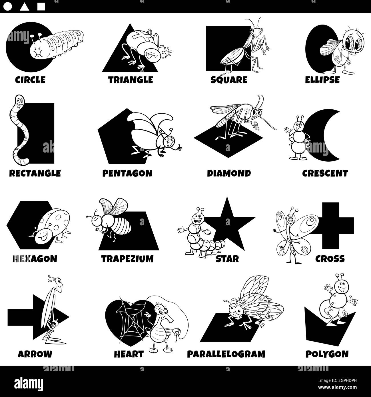 black ans white basic geometric shapes with insects set Stock Vector ...