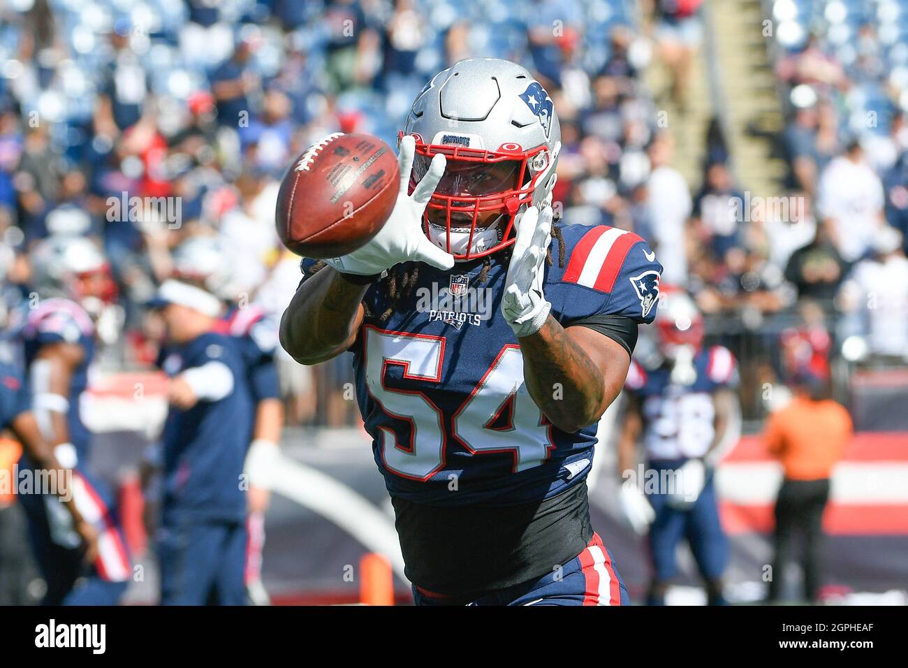 Dont'a hightower patriots hi-res stock photography and images - Alamy