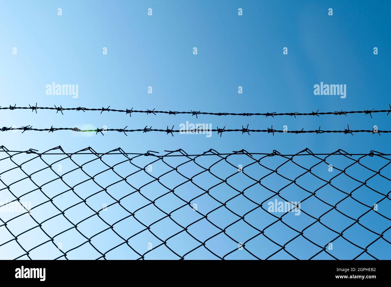 Barbed wire, wire mesh, iron fence Stock Photo - Alamy
