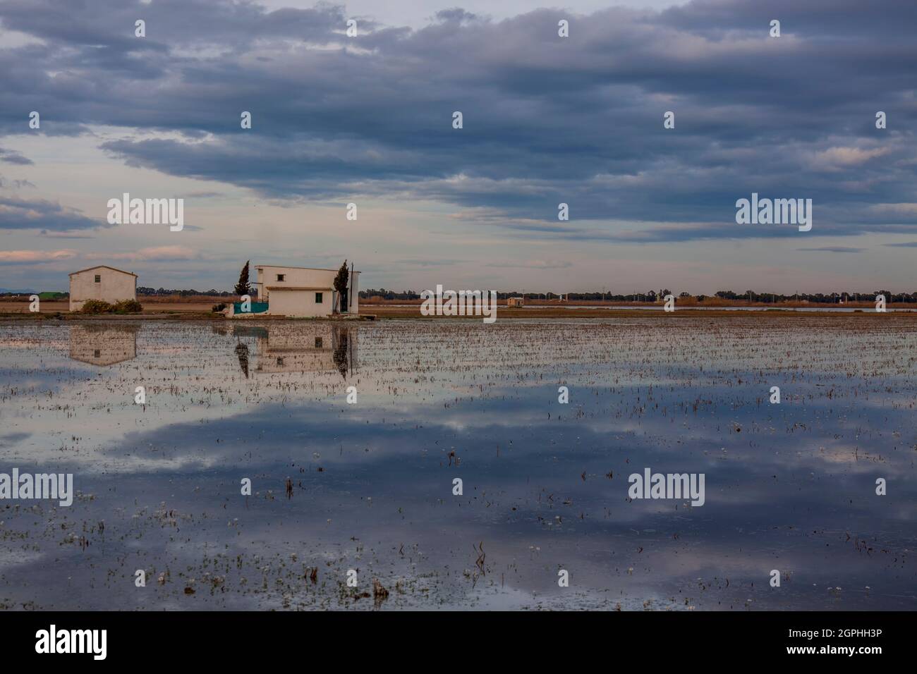 Albufera of Valencia Natural Park. Valencia.Spain Stock Photo - Alamy