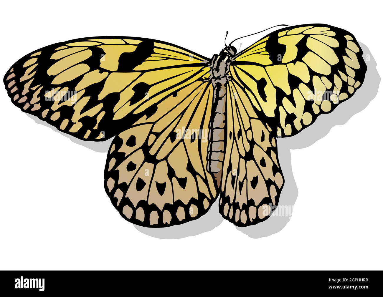 Butterfly yellow Stock Vector Images - Alamy