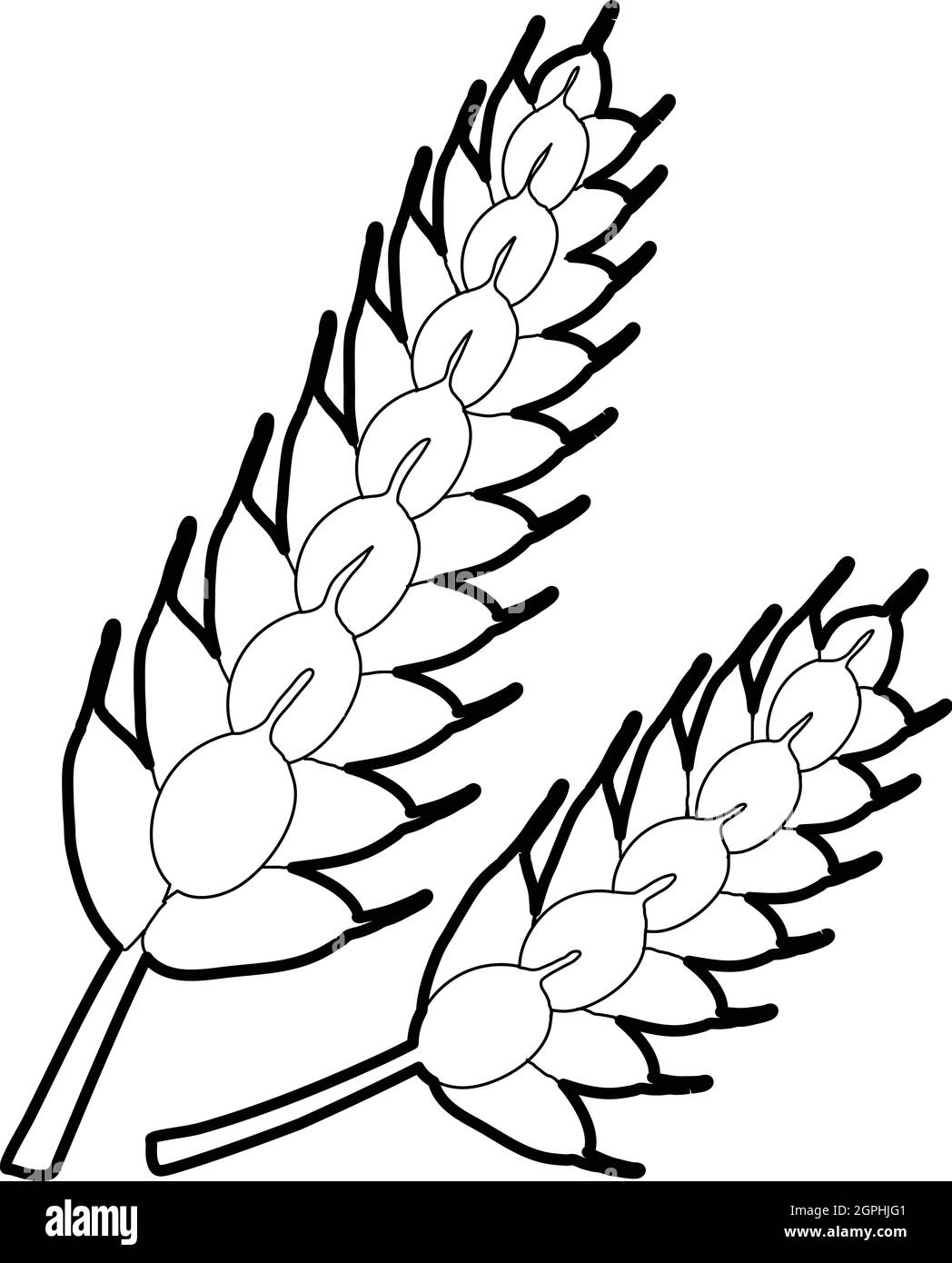 Spica icon, outline style Stock Vector Image & Art - Alamy