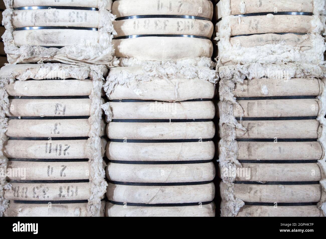 Raw cotton hi-res stock photography and images - Alamy