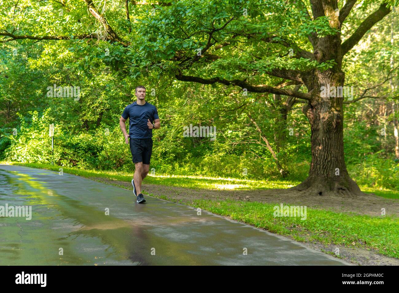 A man athlete runs in the park outdoors, around the forest, oak trees ...