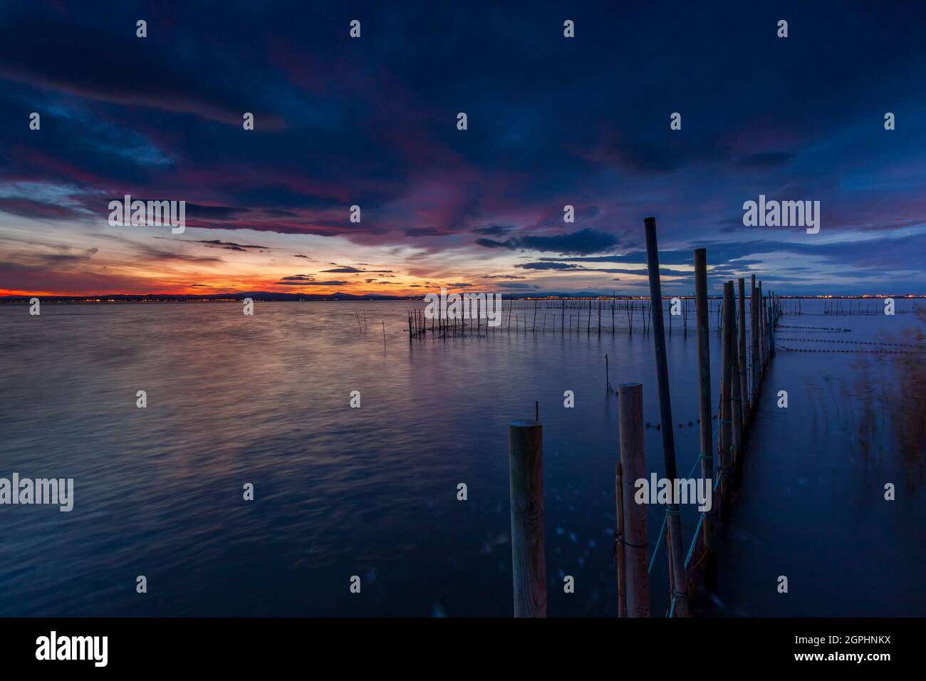 Albufera of Valencia Natural Park. Valencia.Spain Stock Photo - Alamy