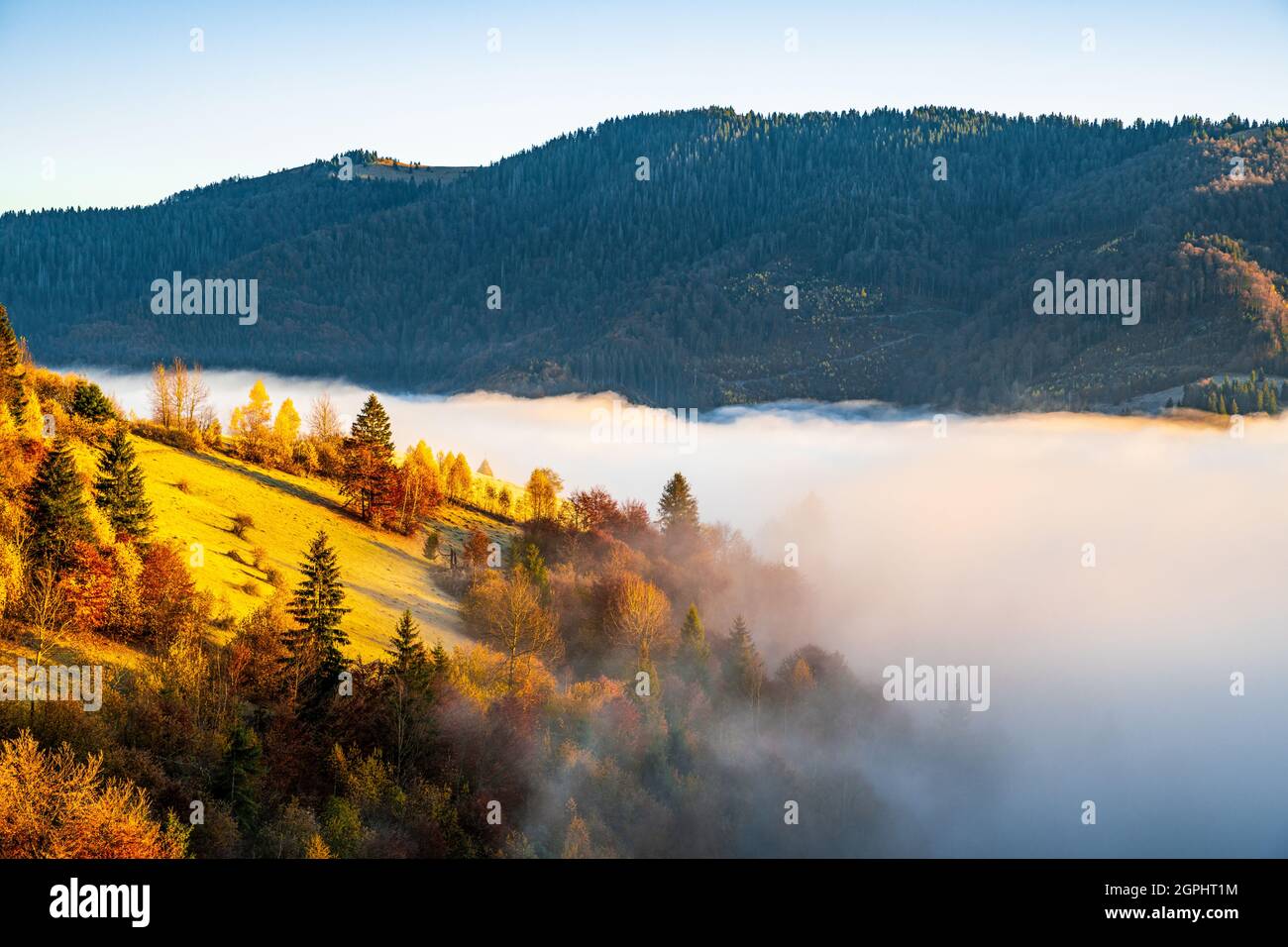 Grey mist covered with the colorful trees on mountain hils Stock Photo ...