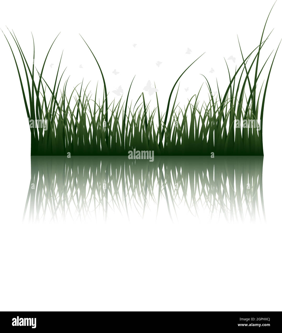 Grass with water Stock Vector Images - Alamy
