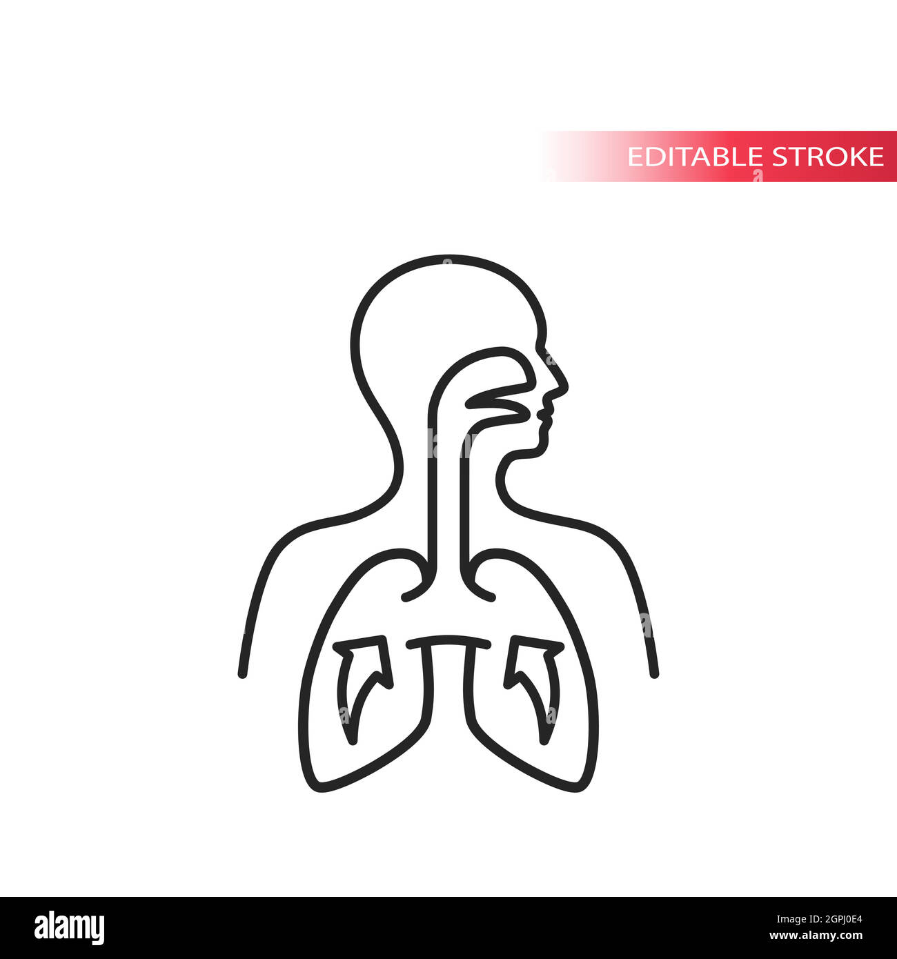 Respiratory system symbol Stock Vector Image & Art - Alamy