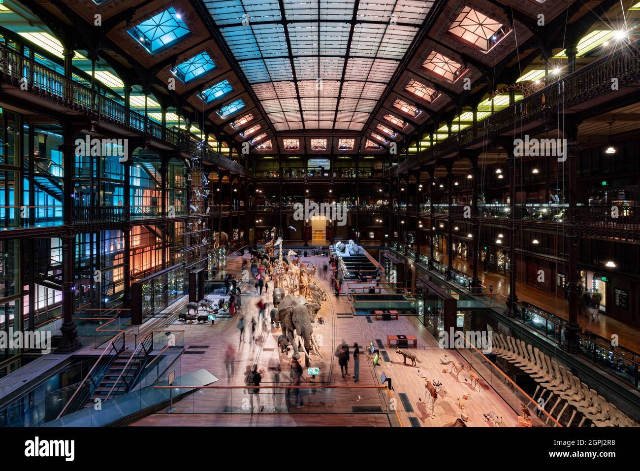 National museum of natural history paris hi-res stock photography and ...