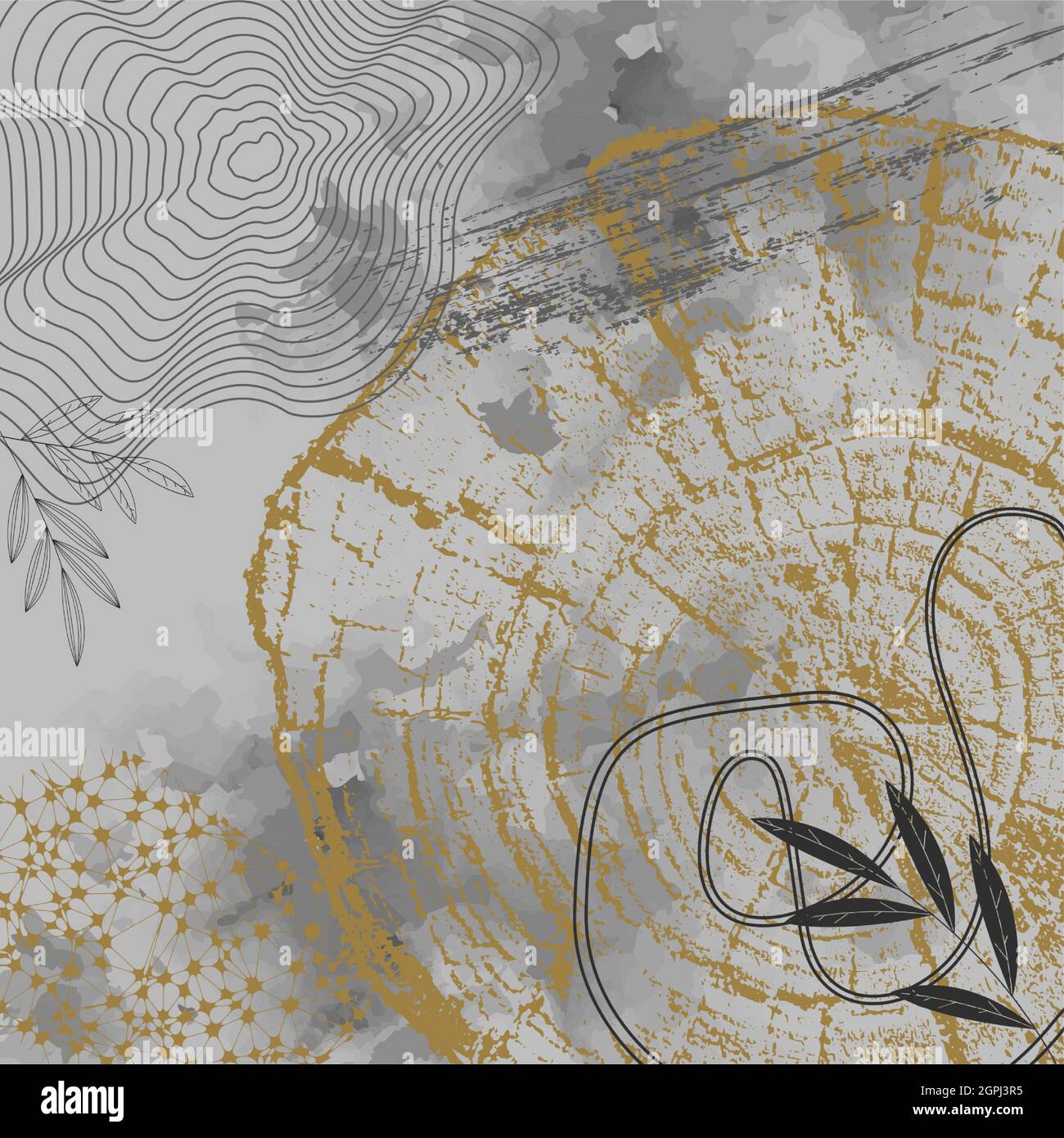 Creative concept flyer layout with tree growth rings Stock Vector Image ...