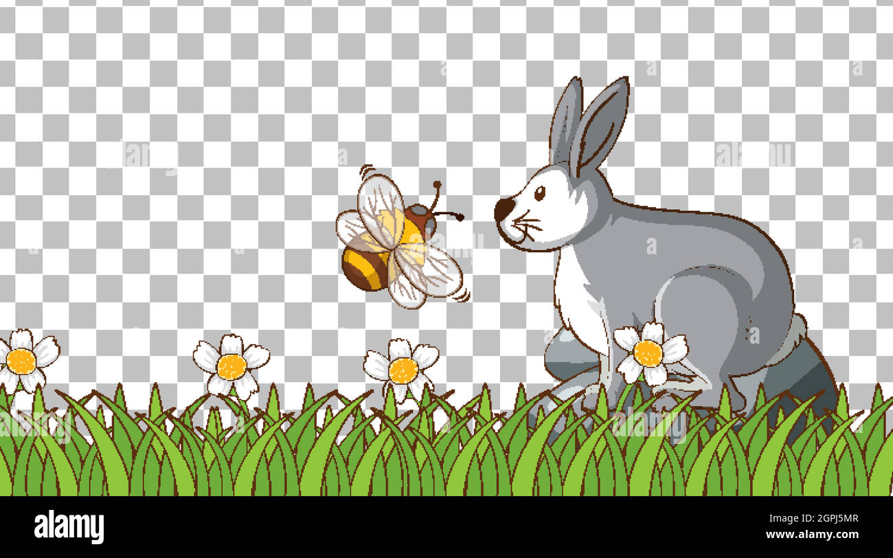 Rabbit standing on the grass field on transparent background ...