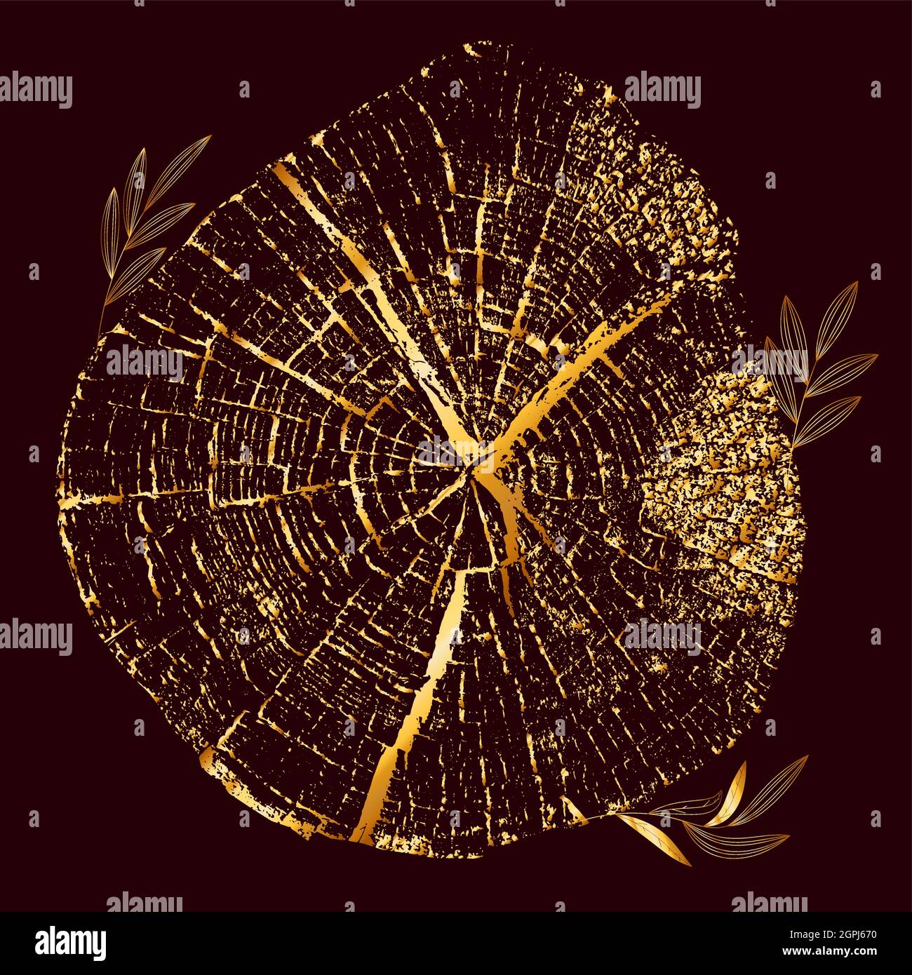 Creative concept flyer layout with tree growth rings Stock Vector Image ...