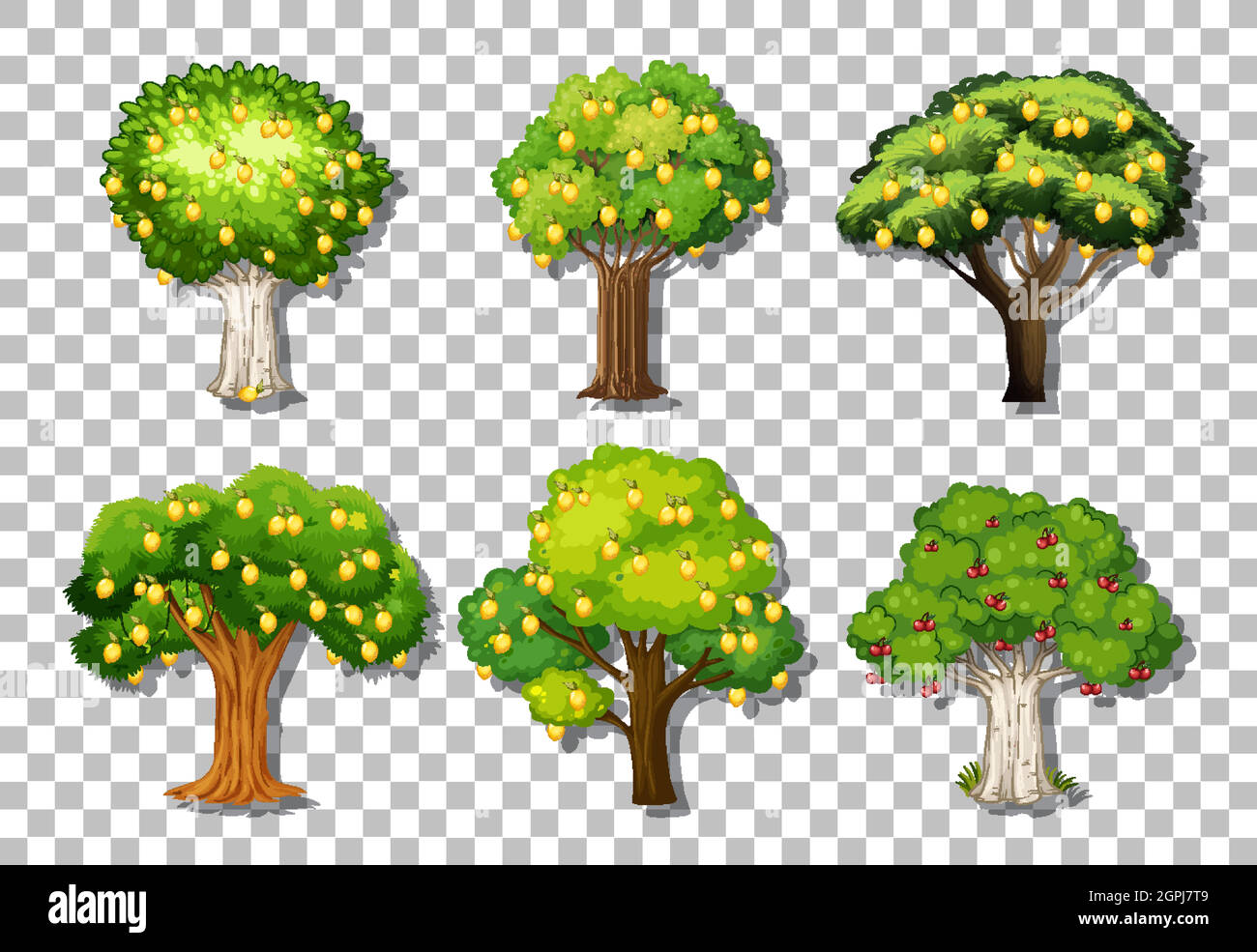 Set of variety lemon trees on transparent background illustration Stock ...