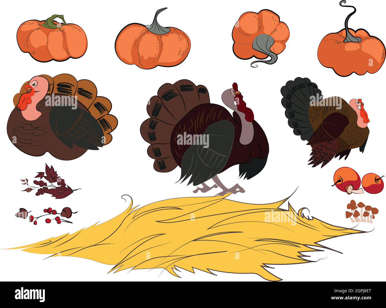 Thanksgiving day card. Illustration and sketches Stock Vector Image ...