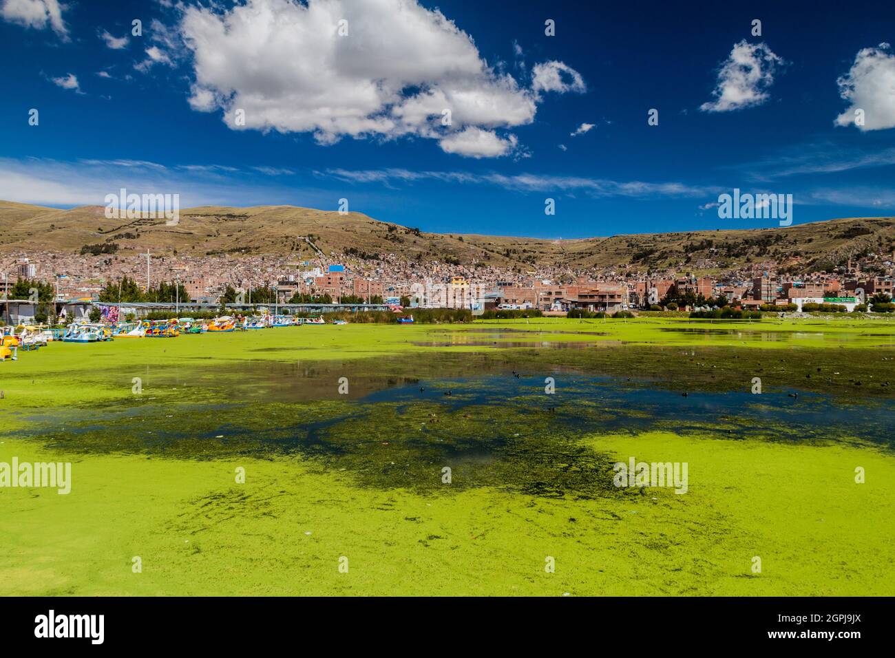 Harbor in Puno with the city in the background, Peru Stock Photo - Alamy