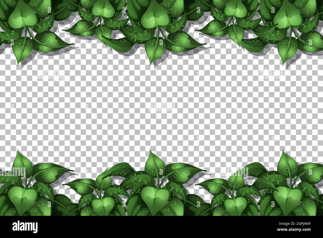 Nature plants frame transparent background illustration Stock Vector ...