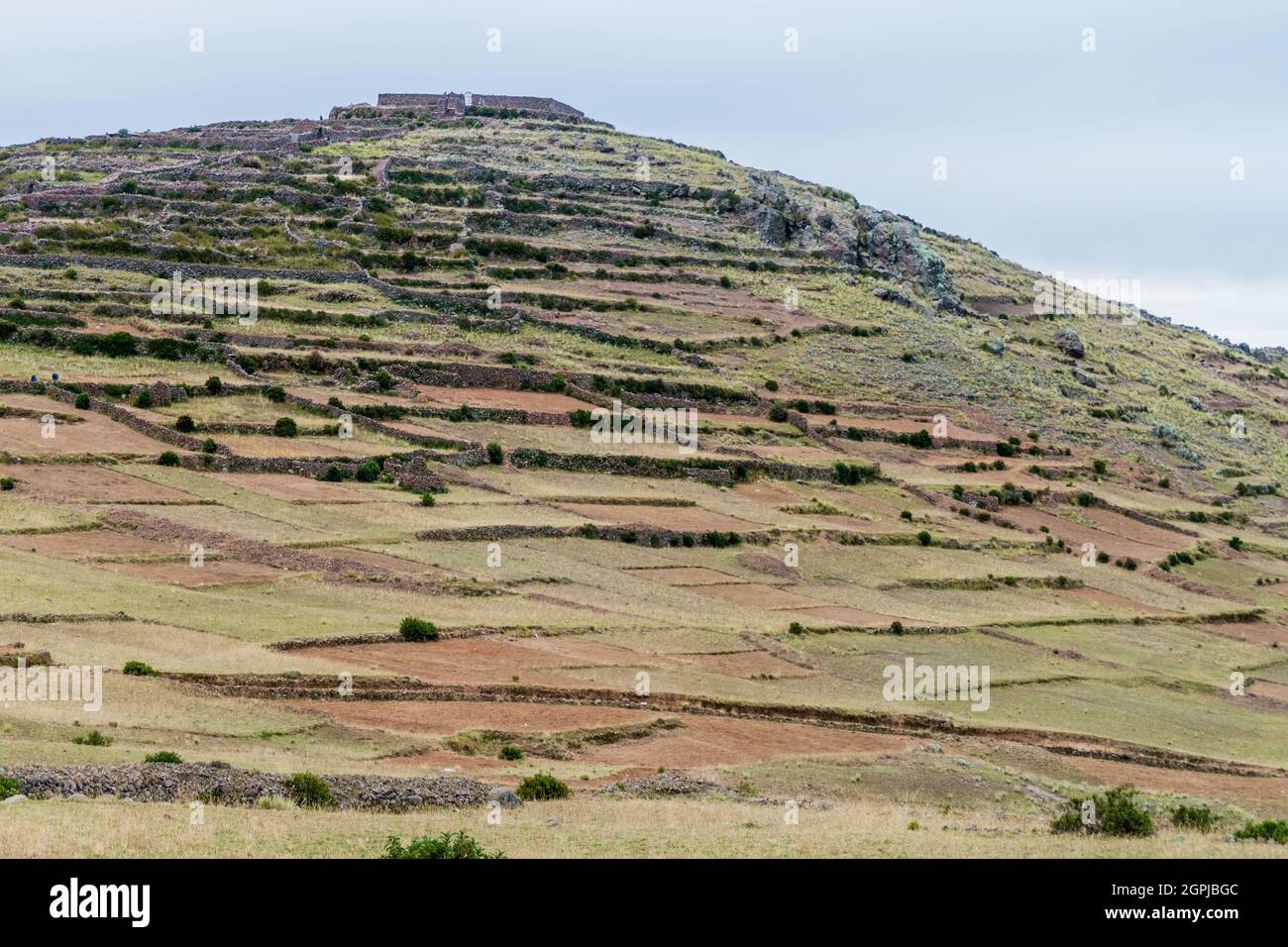Agricultural terraces on Pachatata hill on Amantani island in Titicaca ...