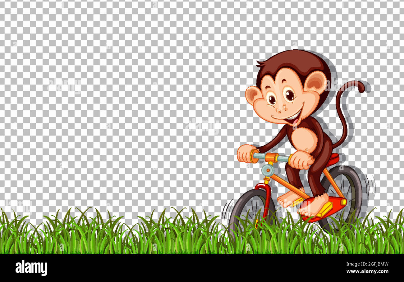 Monkey ride a bicycle on transparent background illustration Stock ...