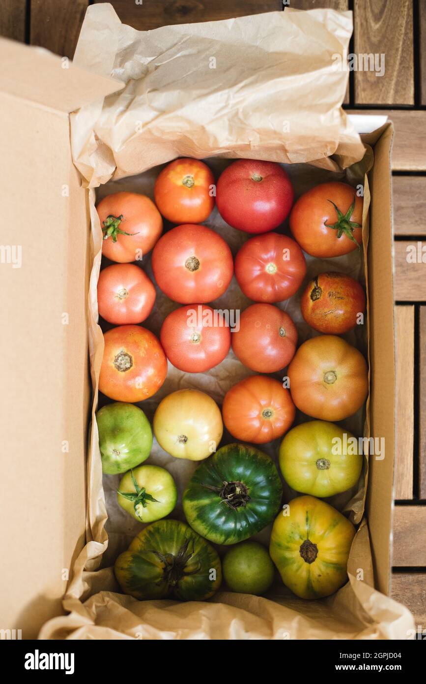 Various different color organic homegrown tomatoes in box Stock Photo ...