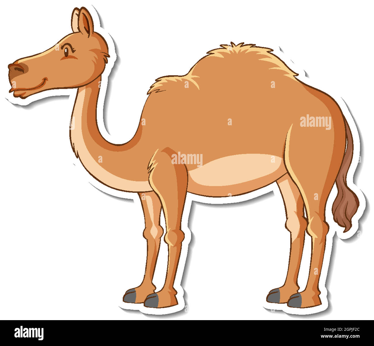 A sticker template with a camel isolated illustration Stock Vector ...
