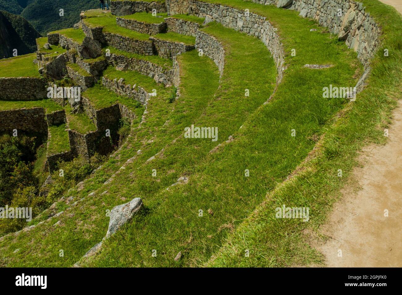 Inca's agricultural terraces at Machu Picchu, Peru Stock Photo - Alamy