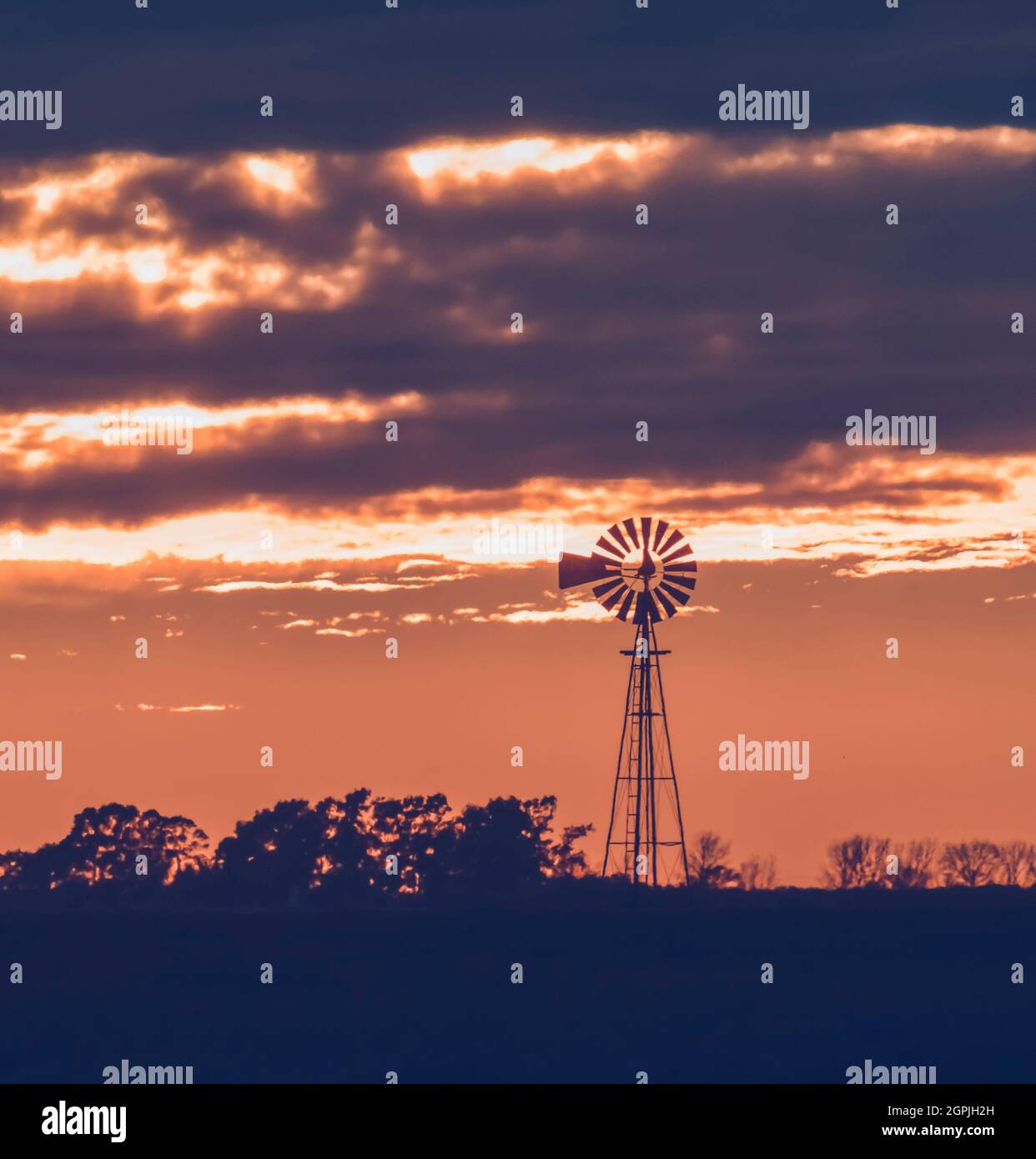 Humid pampa hi-res stock photography and images - Alamy