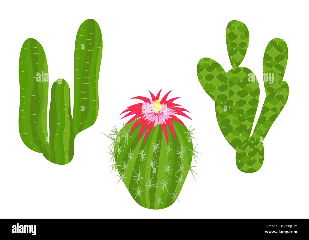 Abstract cactus Stock Vector Images - Alamy